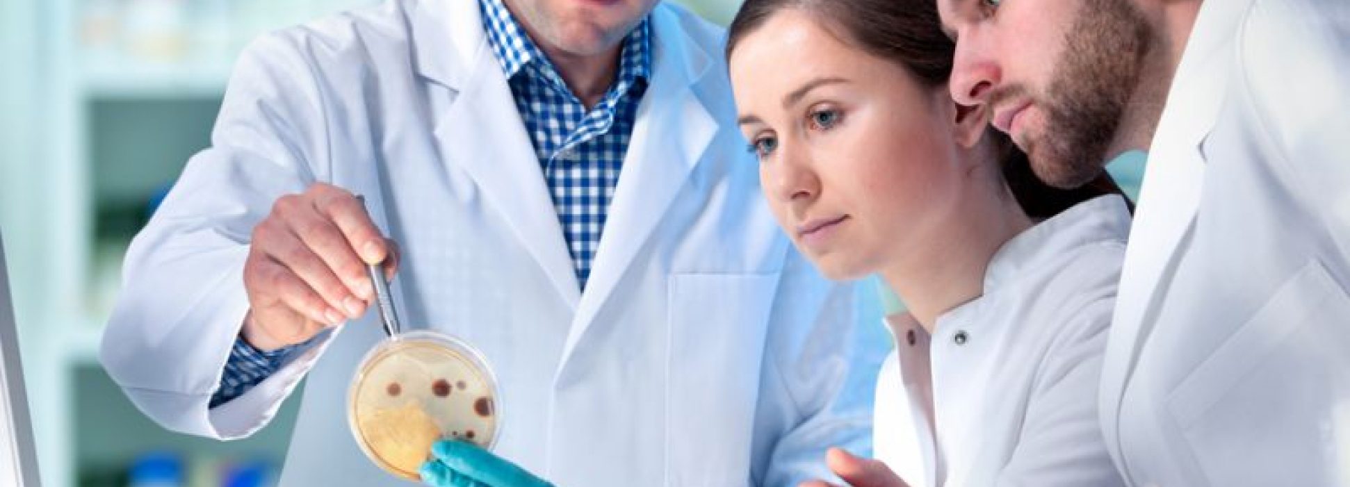 About StudyPLAB- Ultimate Guide to the PLAB Exam